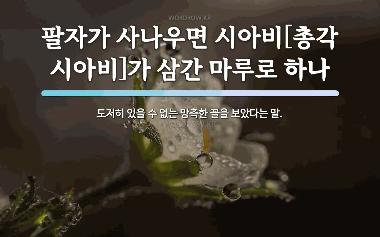 팔자가 사나우면 시아비총각 시아비가 삼간 마루로 하나 뜻 도저히 있을 수 없는 망측한 꼴을 보았다는 말